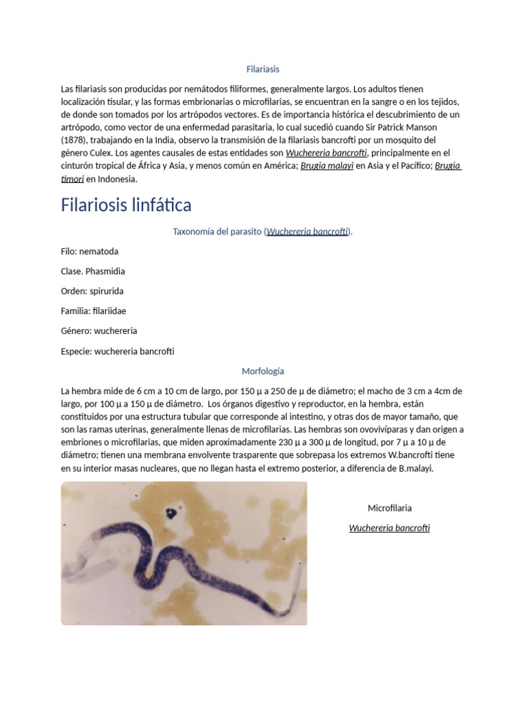 Filariasis | PDF | Especialidades Medicas