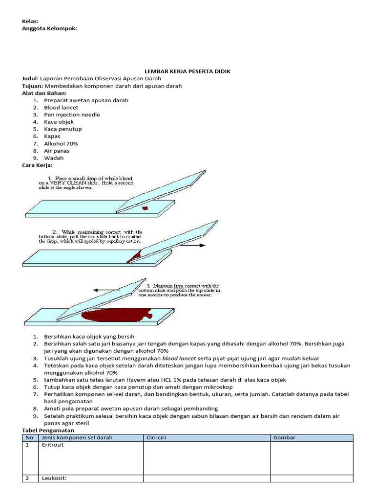 Lkpd Apusan Darah | PDF