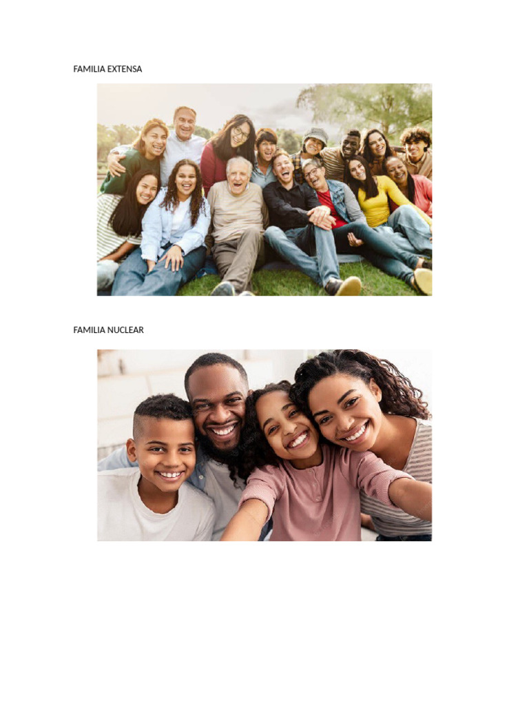 Familia Extensa y Nuclear | PDF