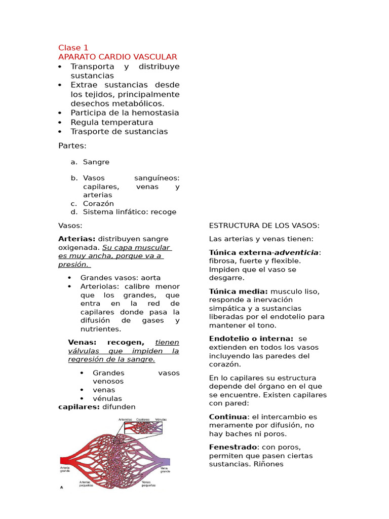 cardio vascular estudio fisio | PDF | Corazón | Sistema circulatorio