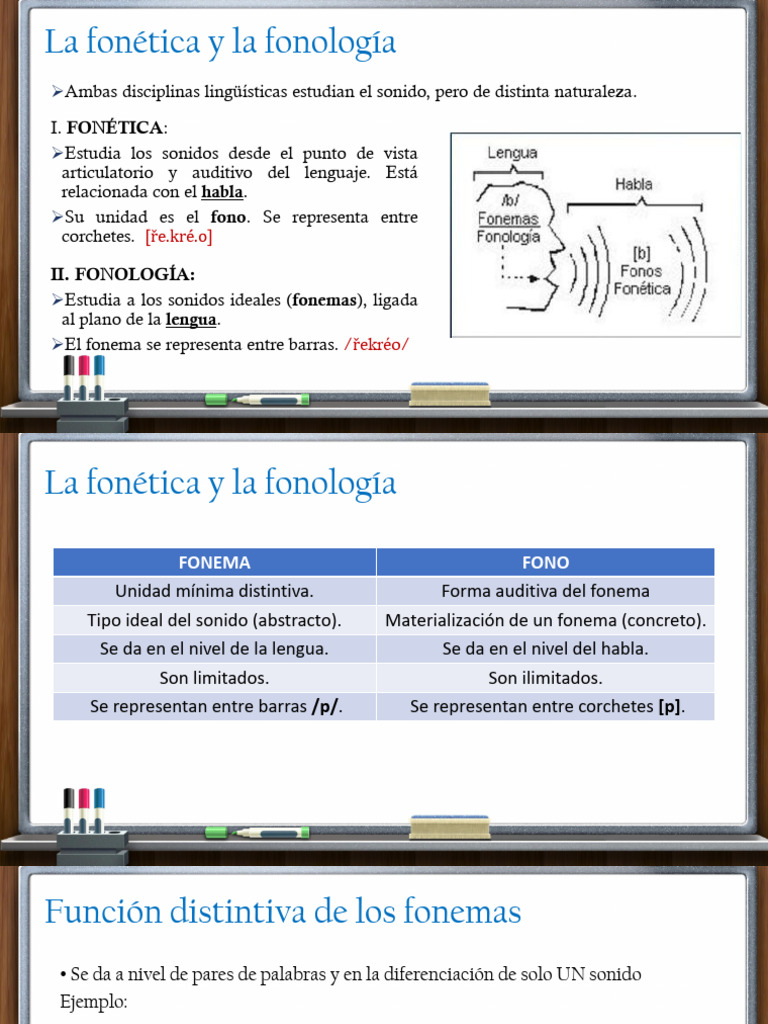 1° Sec - Tema 6 - Fonetica, C.Newton | PDF | Fonema | Fonética