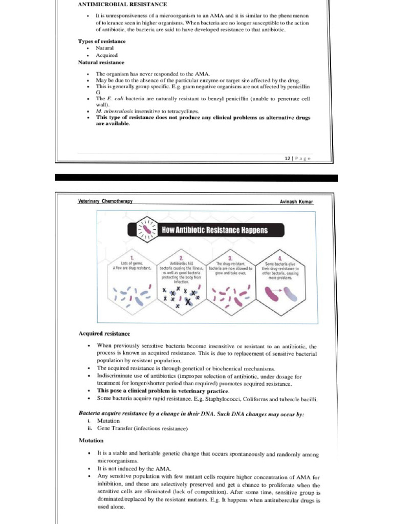 Antimicrobial Resistance | PDF