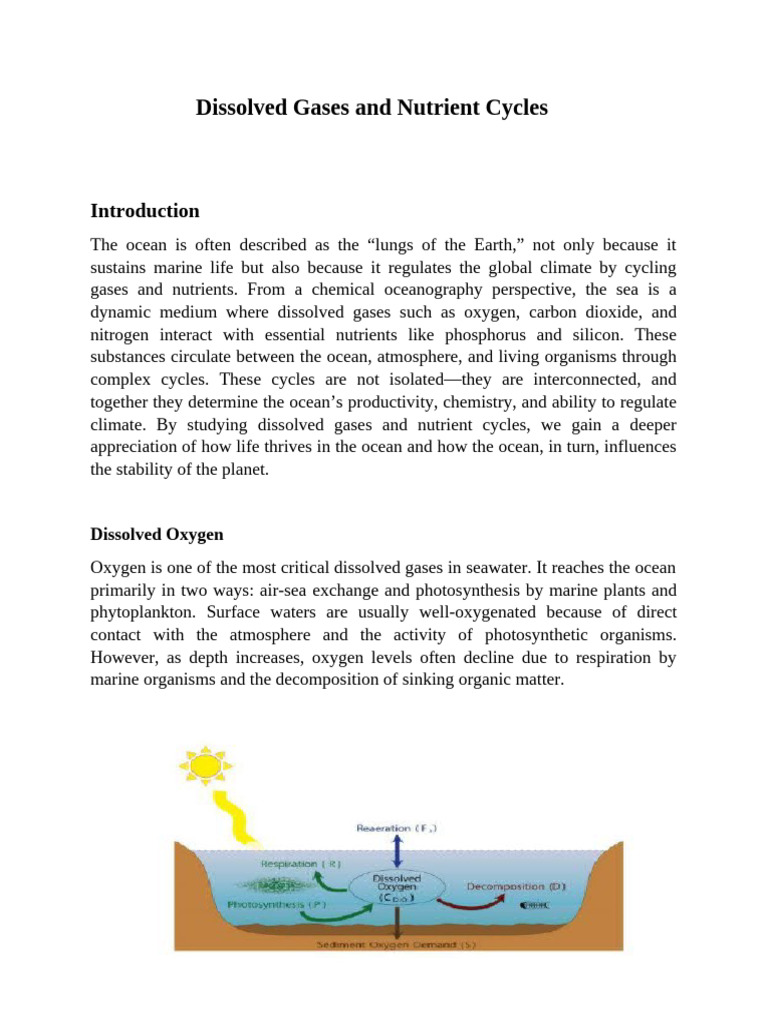 Dissolved Gases and Nutrient Cycles | PDF | Oceans | Carbon Cycle