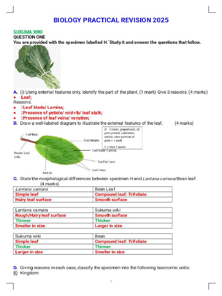 Biology Practical Revision 2025_phoenix (1) | PDF