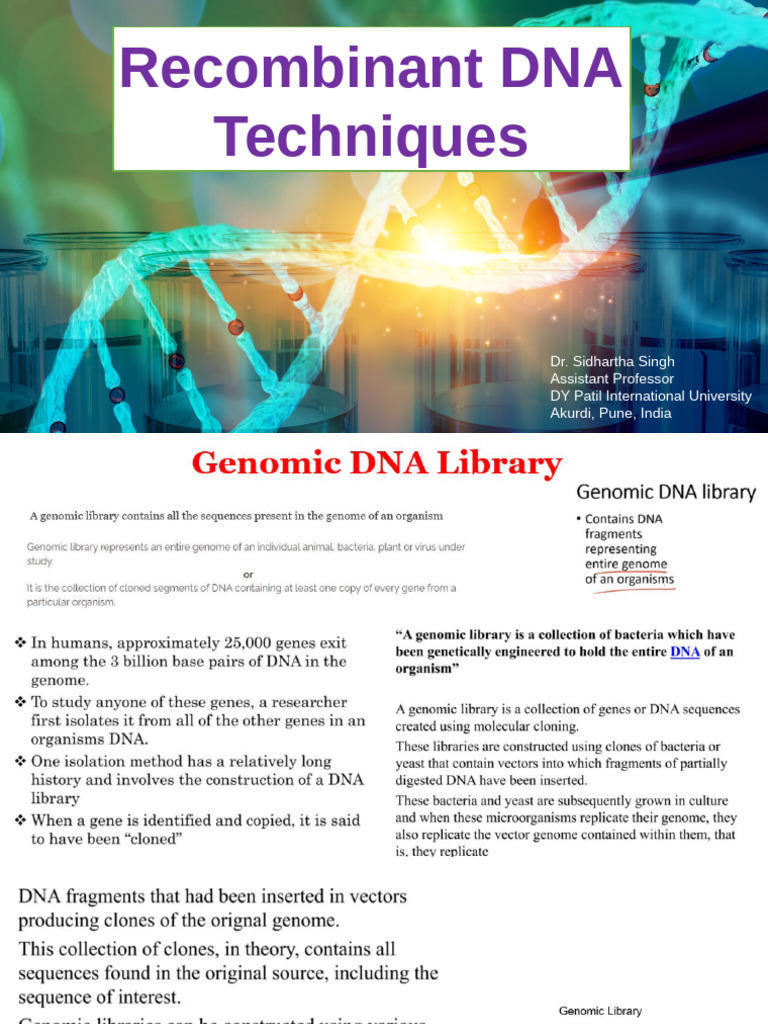 Lec 13 Recombinant DNA Techniques | PDF