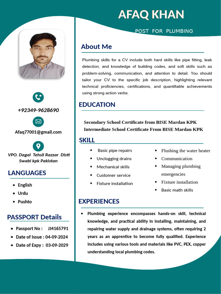 Plumbing CV Skills and Experience | PDF