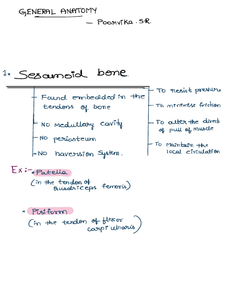 RS Questions-General Anatomy VDZ - 250924 - 024620 | PDF