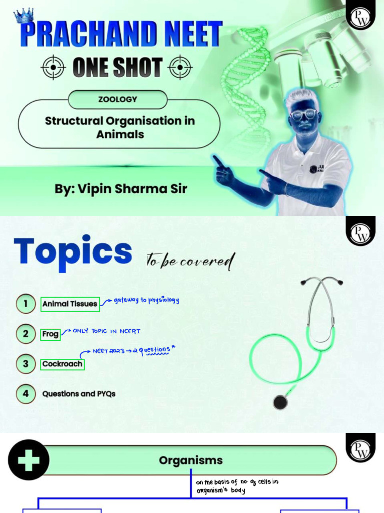 Neet 2025 Organization in Animals (One Shot) Class Notes Prachand NEET ...