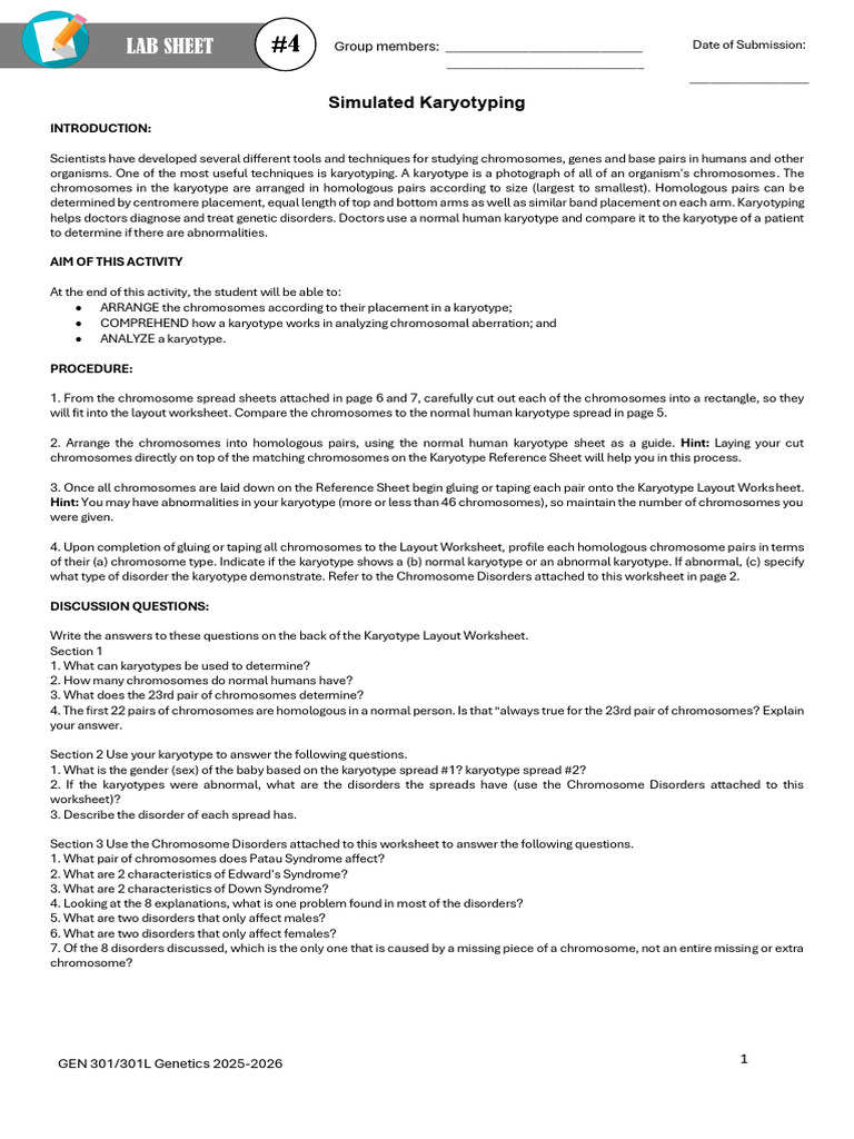 LAB Activity 4 Simulated Karyotyping BIO3A | PDF | Karyotype | Down ...