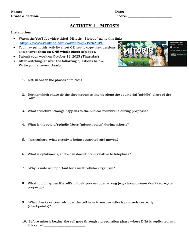 Science 7 Mitosis and Meiosis Activity 1 2 Project | PDF | Meiosis ...