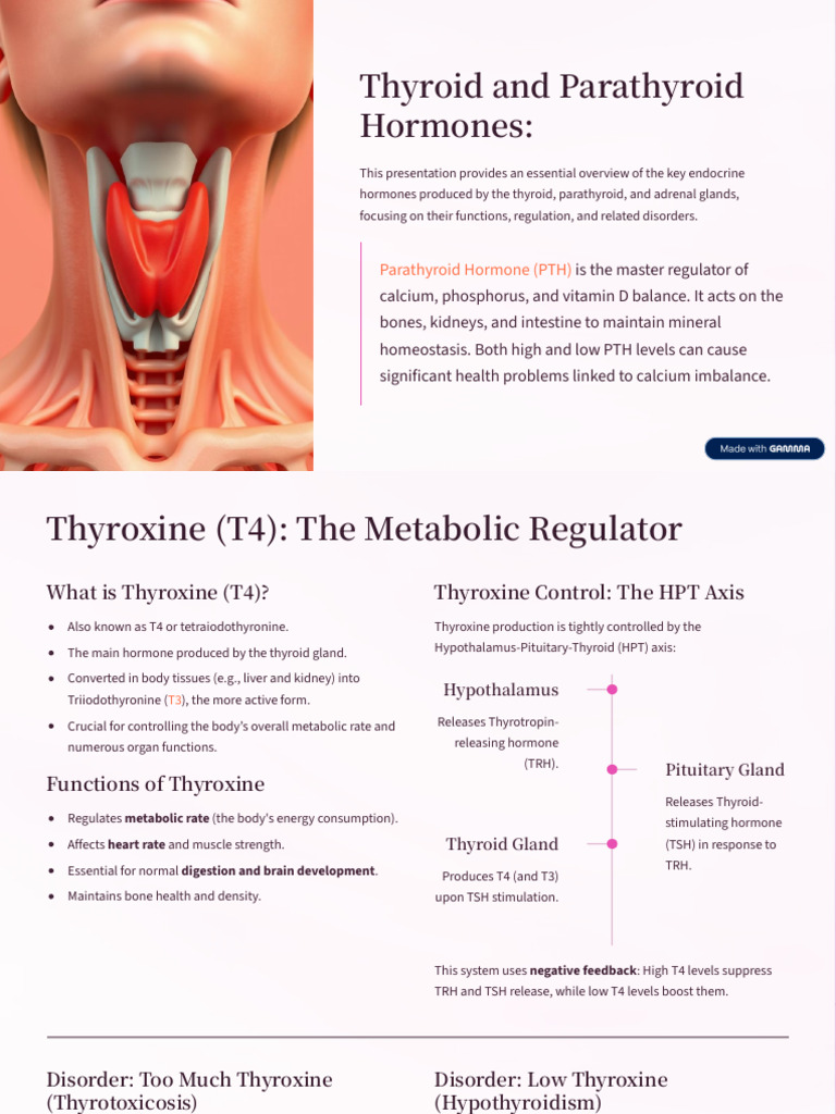 Thyroid and Parathyroid Hormones Overview | PDF | Thyroid | Thyroid ...