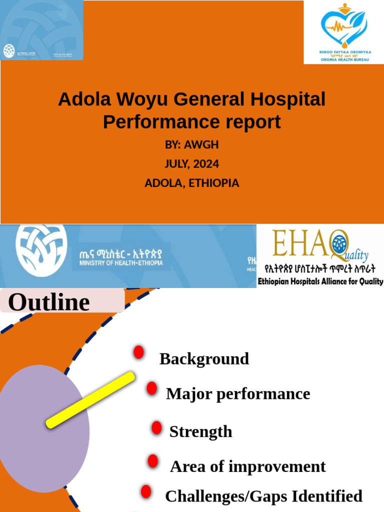 Adola Hospital 2016 Performance Report | PDF | Public Services | Social ...