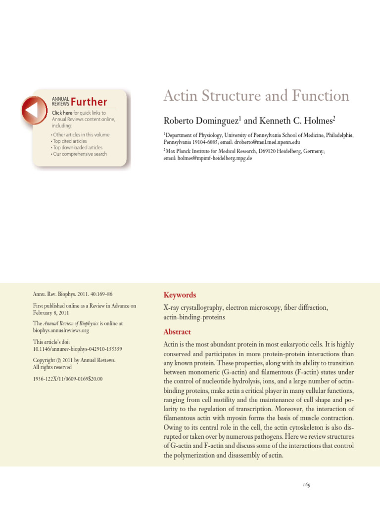 Actina Estructura y Funcion | PDF | Actin | Protein Domain