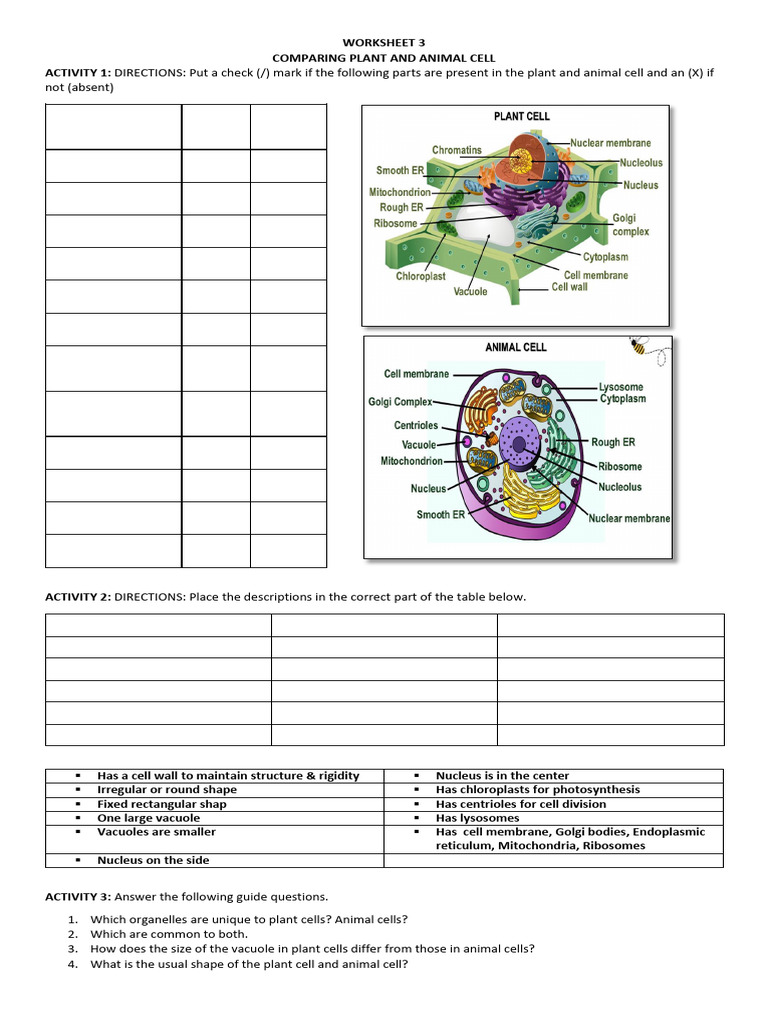 Science 7 Worksheet 3 q2w2 | PDF