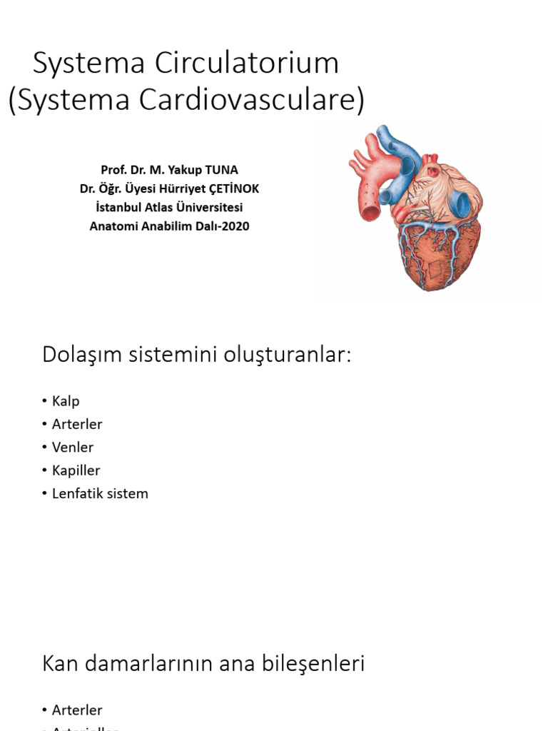 Systema Circulatorium (Systema Cardiovasculare) | PDF