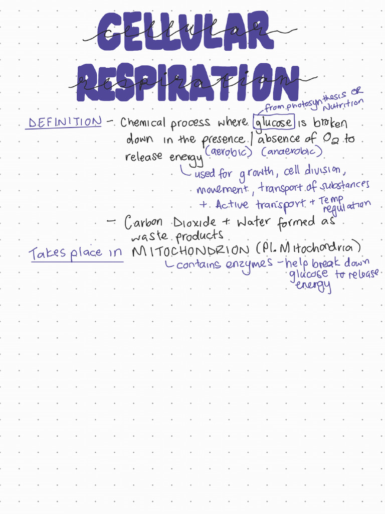 Cellular Respiration Notes | PDF