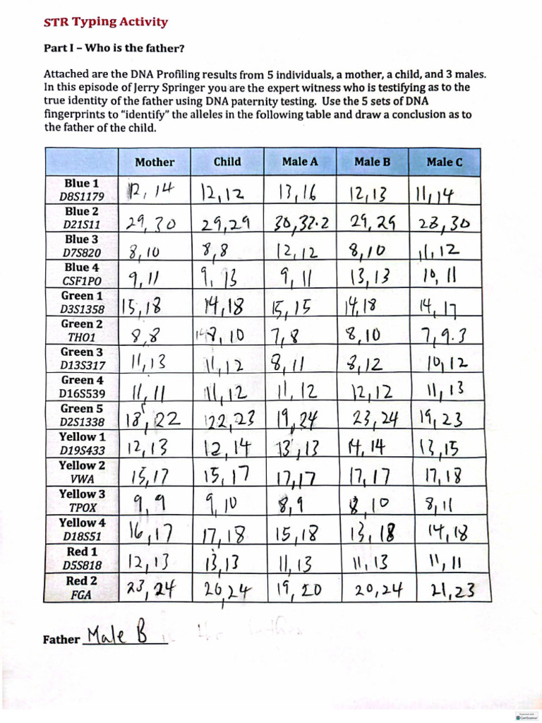 STR Typing | PDF