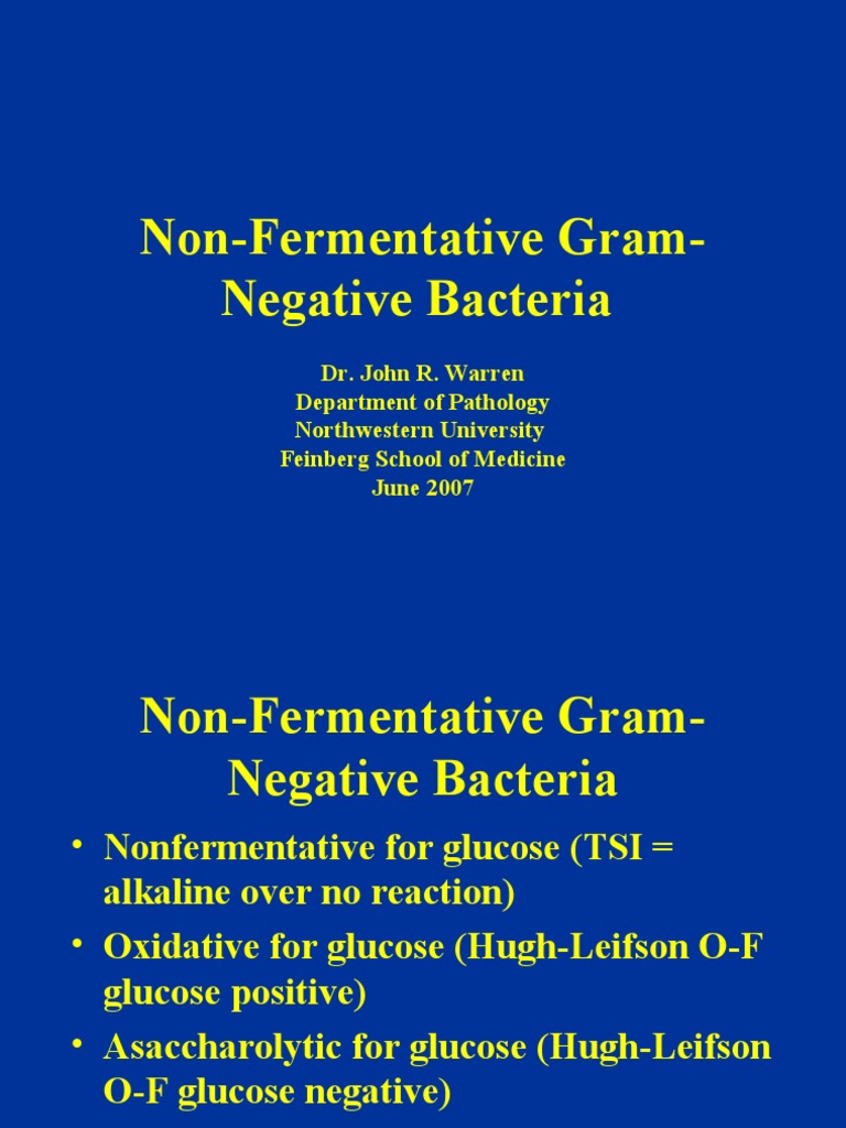 03-Non-Fermentative Gram-Negative Bact Eria v1 - 3 2 | PDF ...