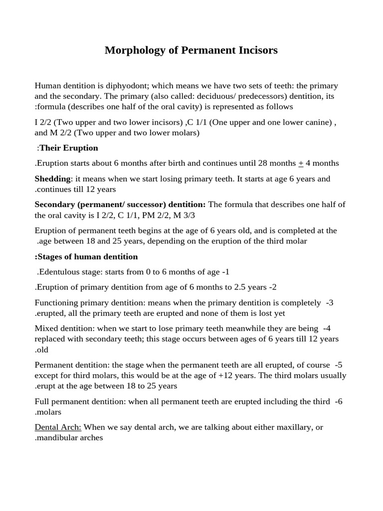 Morphology of Permanent Incisors Sheet 3 | PDF | Dental Anatomy | Tooth