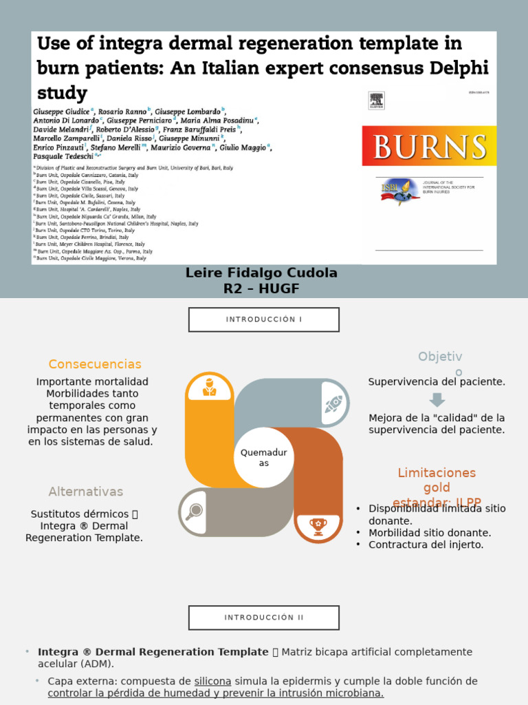 JC Burns Integra 20 - 09 | PDF | Quemar | Herida