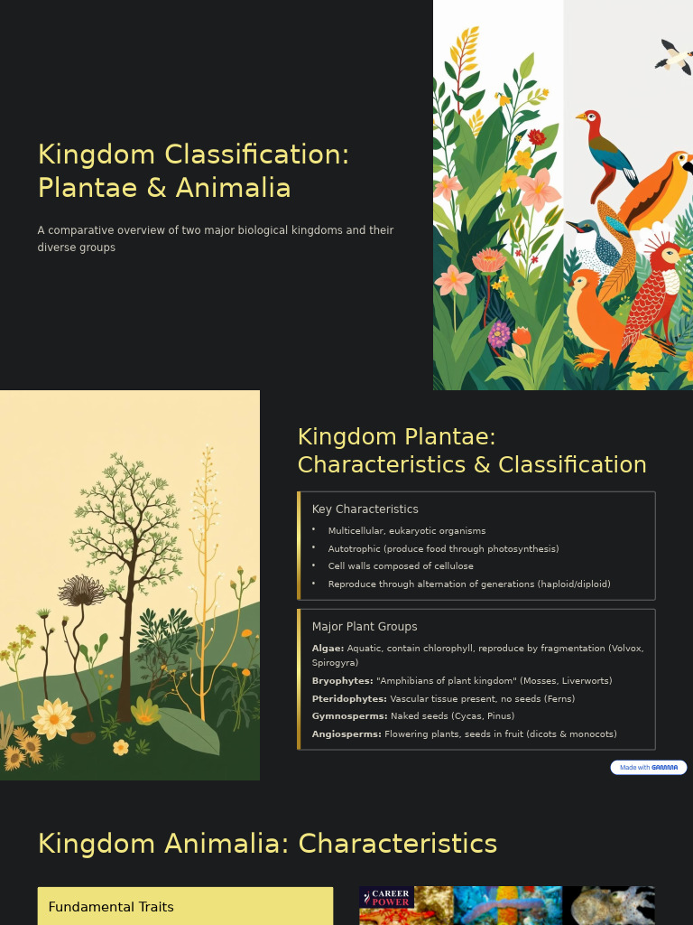 Kingdom Classification Plantae and Animalia | PDF