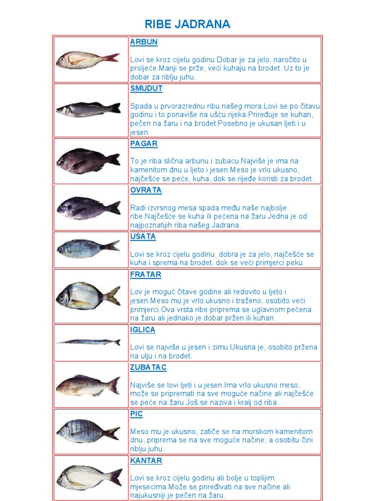 Ribe Jadrana | PDF