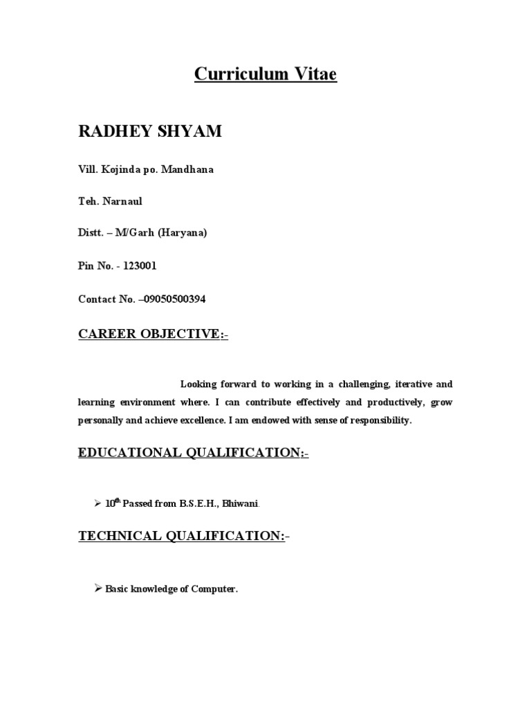 Radhey Shyam's CV and Career Objective | PDF