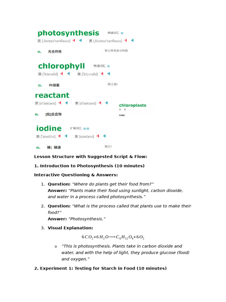 Lesson Structure With Suggested Script-Y9 Photothesys | PDF ...