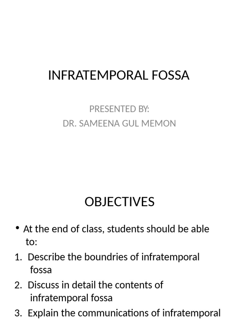 Infratemporal Fossa Overview | PDF | Skull | Human Head And Neck