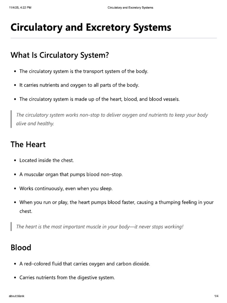 Circulatory and Excretory Systems | PDF