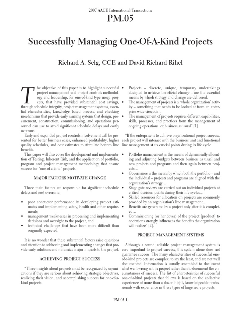 Effective Strategies for Mega Project Success | PDF | Risk | Project ...
