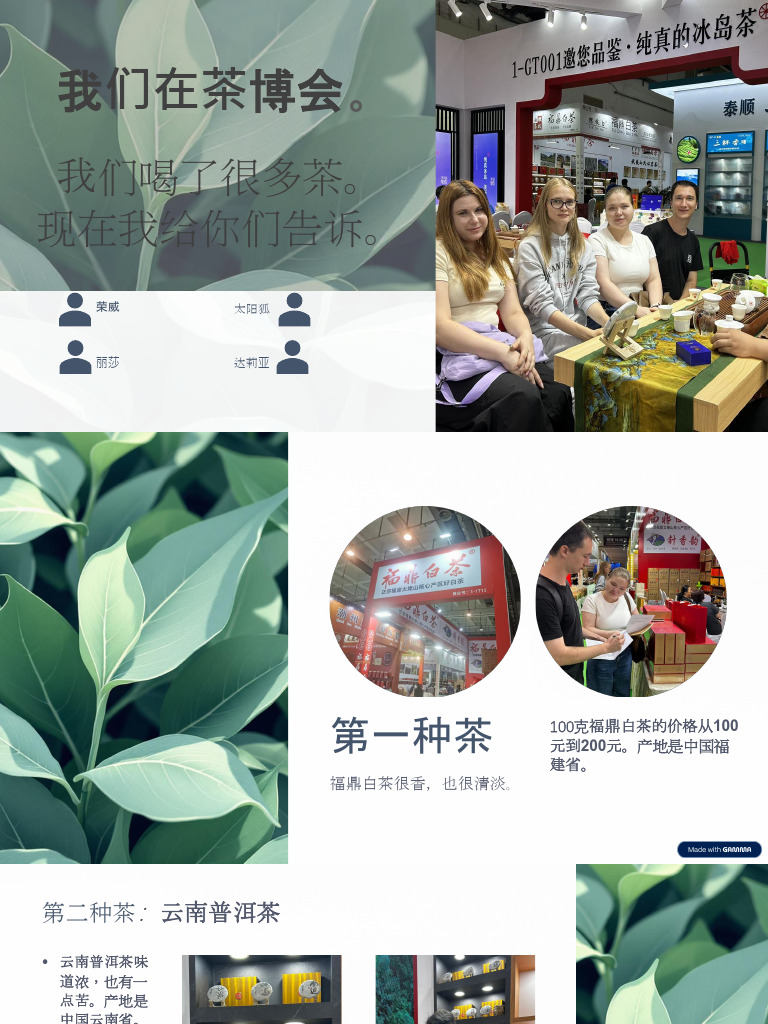 Презентация по чаям | PDF