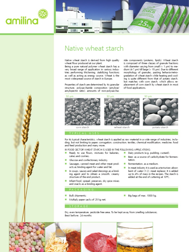 Native Wheat Starch Info Sheet | PDF | Starch | Food And Drink