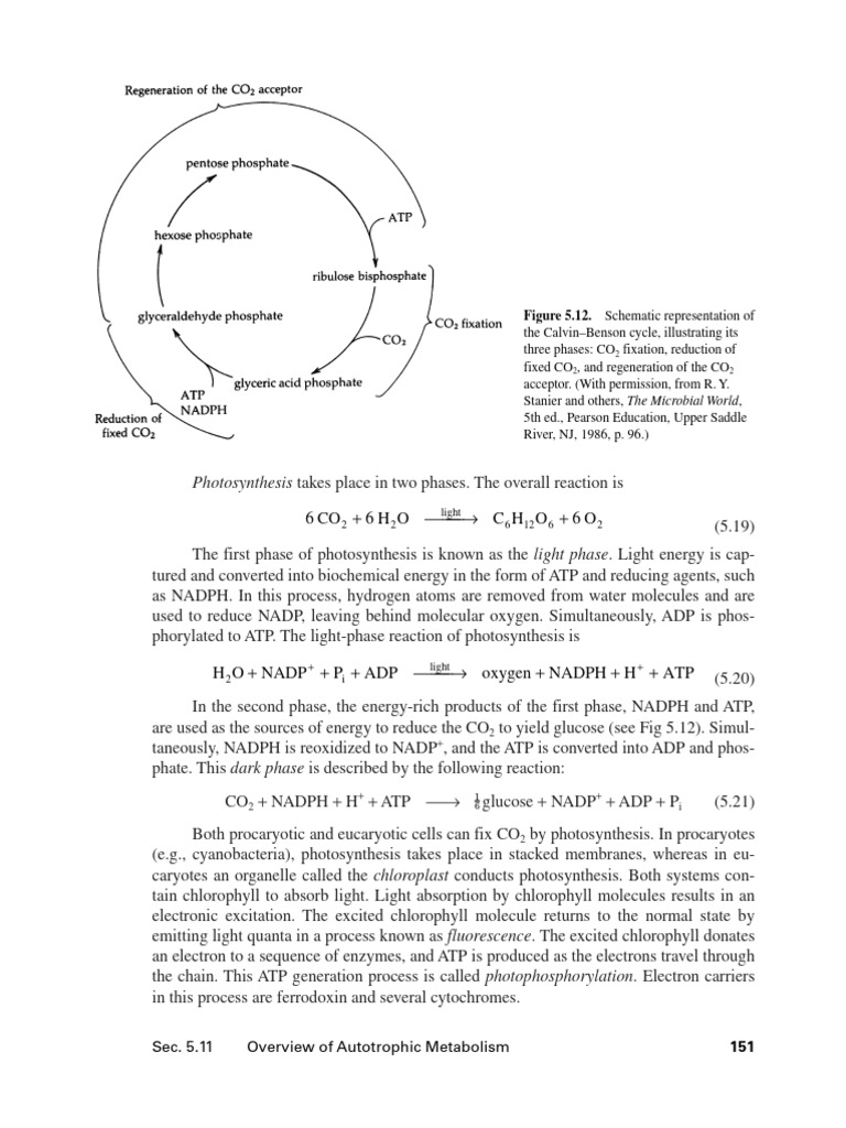 Mixing and Mass Transfer Topics | PDF | Metabolic Pathway ...
