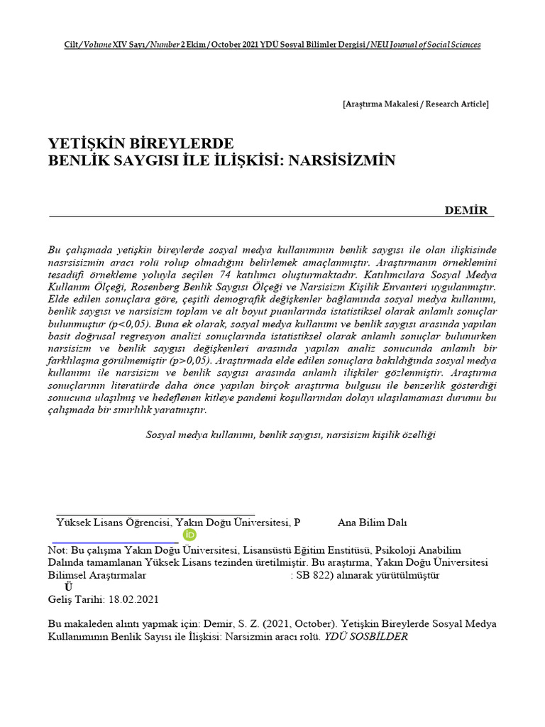 Sude Zeynep Demir PDF | PDF