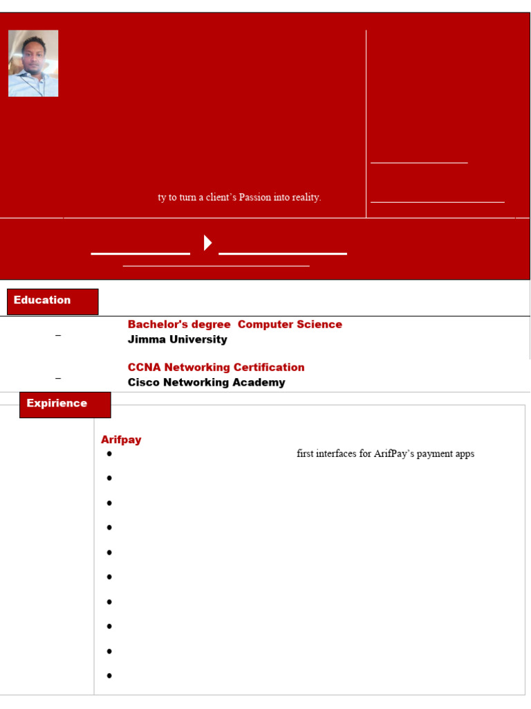Senior Graphics Designer CV and PORFOLIO Link - Addis Alemayehu | PDF ...
