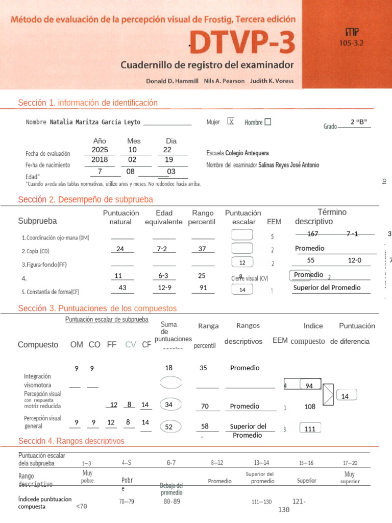 DTVP 3 Cuadernillo de Registro Del Examinador | PDF