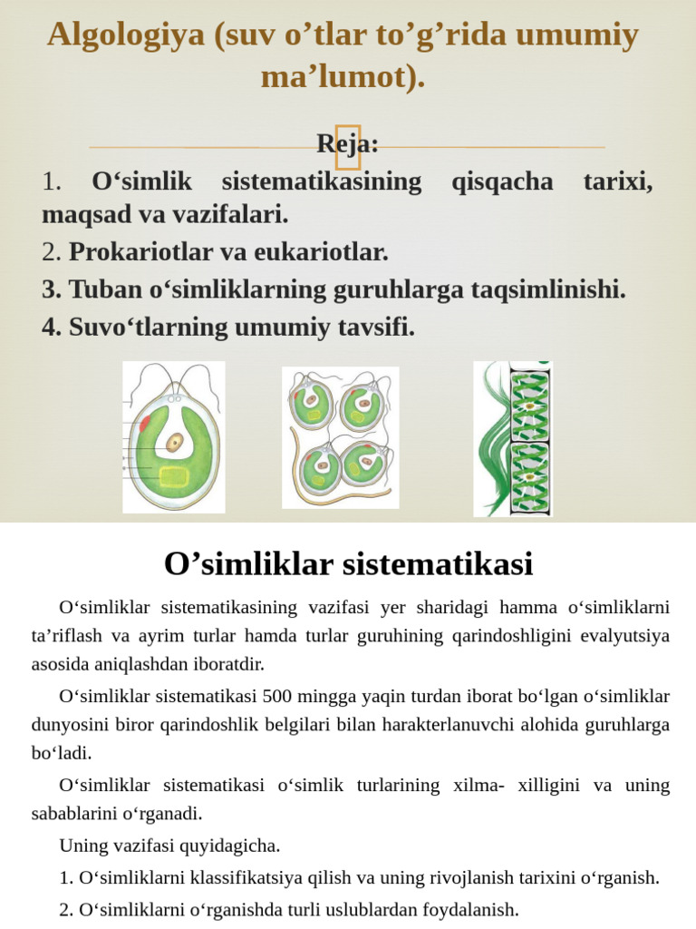 Biogeografiya 5 Mavzu Suv O'tlar O'simliklari Haqida S | PDF