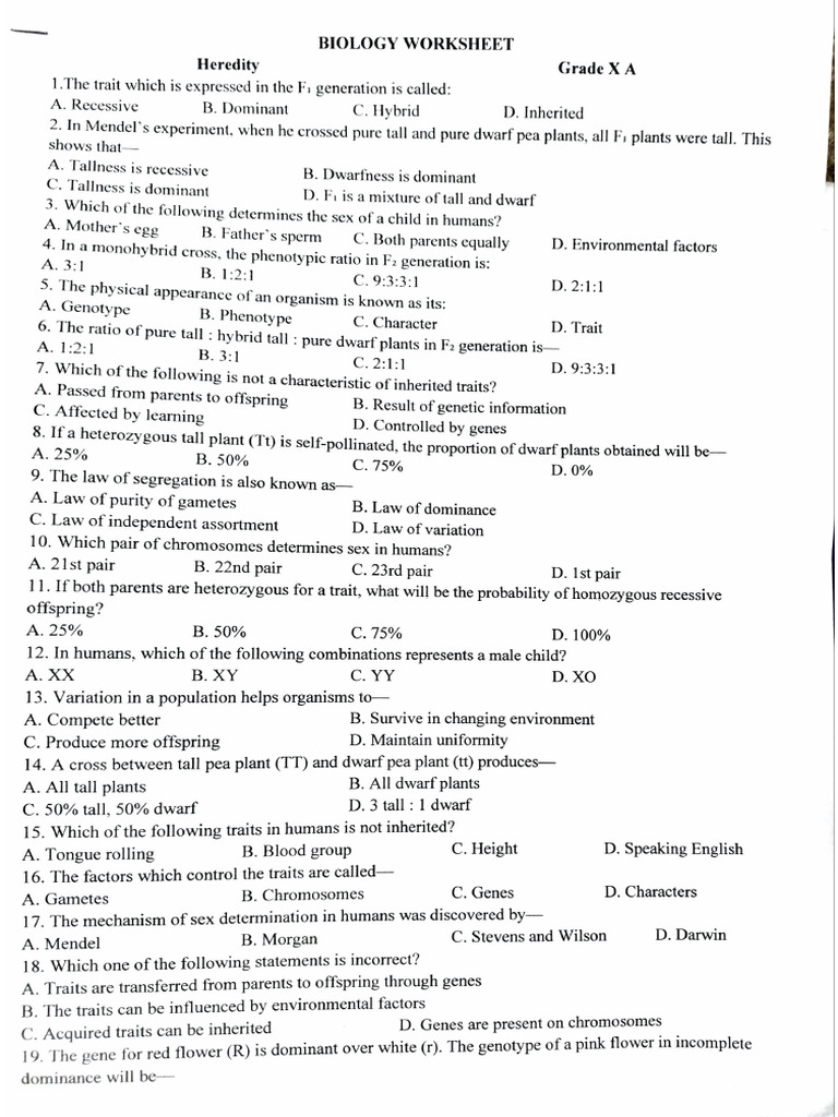 Recessive - Traits 03 11 2025 23 02 | PDF
