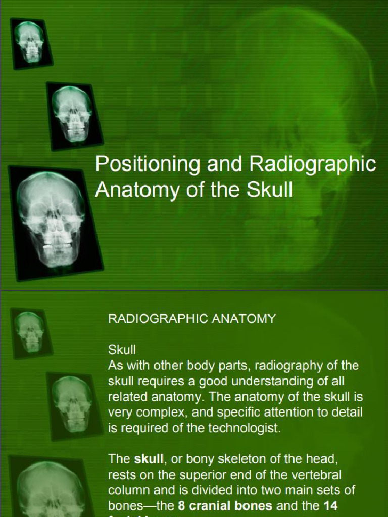 Skull Positioning | PDF