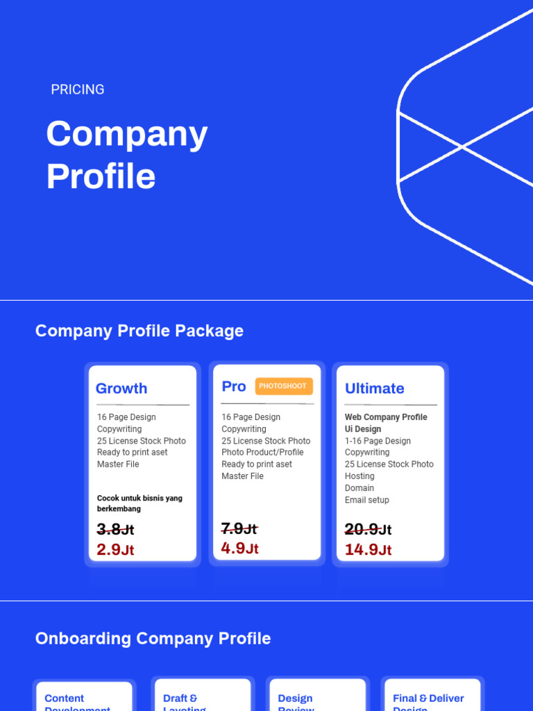 Comprehensive Company Profile Package | PDF | Communication Design ...