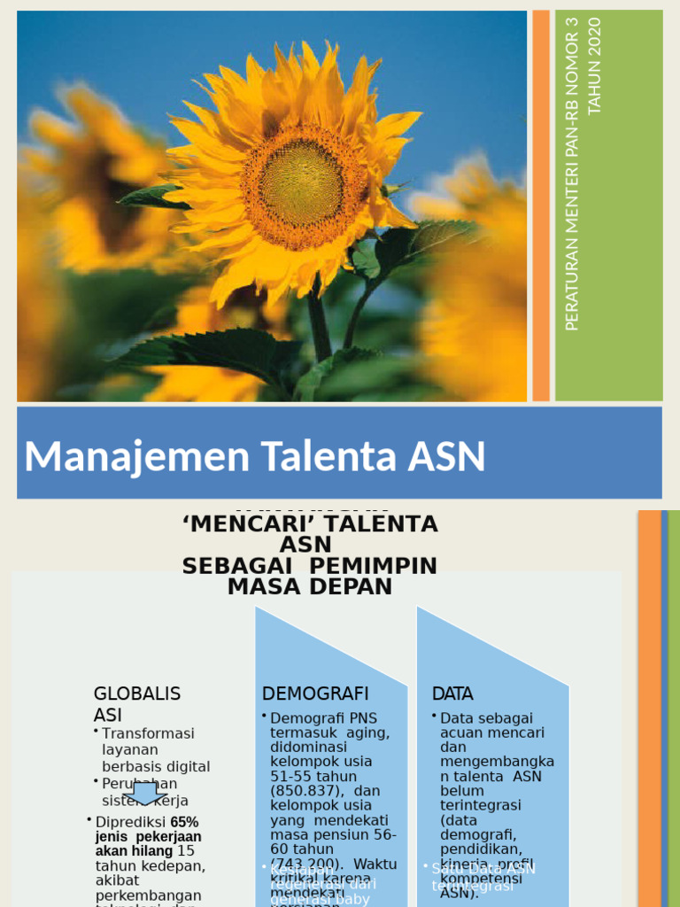 Manajemen Talenta & Penilaian Kompetensi Asn | PDF