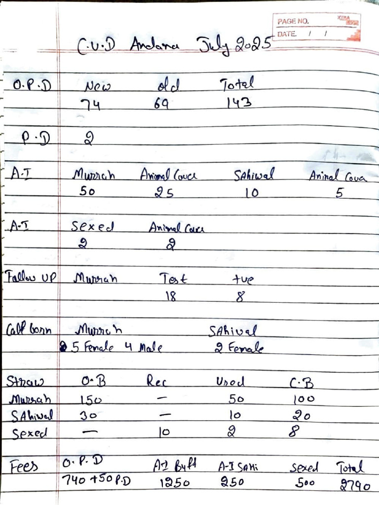 MPR of July 2025 | PDF