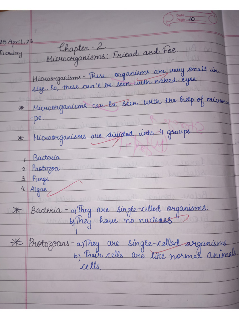 Microorganisms - Friend or Foe | PDF