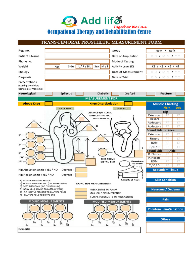 Hip Disarticulation Measurement Form | PDF | Knee | Anatomical Terms Of ...