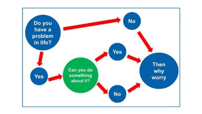 Why Worry | PDF