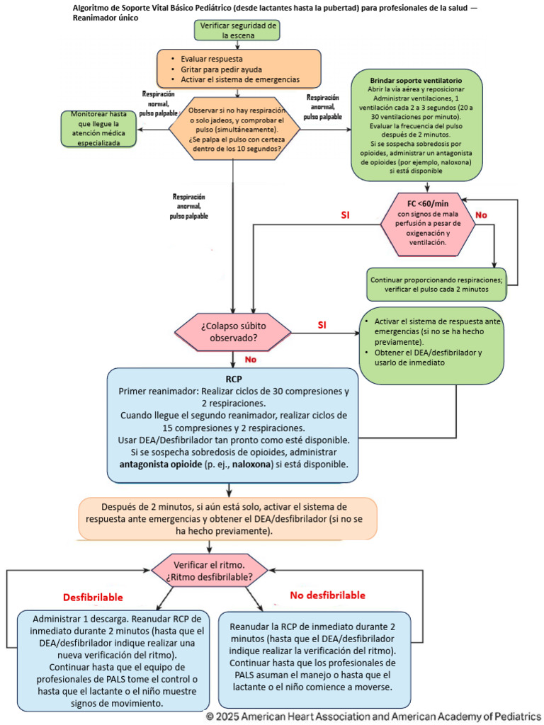 Resumen de Algoritmo RCP Pediátrico - AHA 2025 | PDF | Reanimación ...