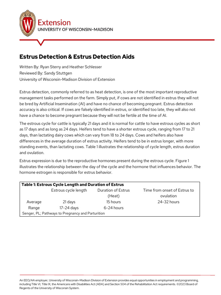 Estrus Detection Aug 2023 | PDF | Zoology | Mammals