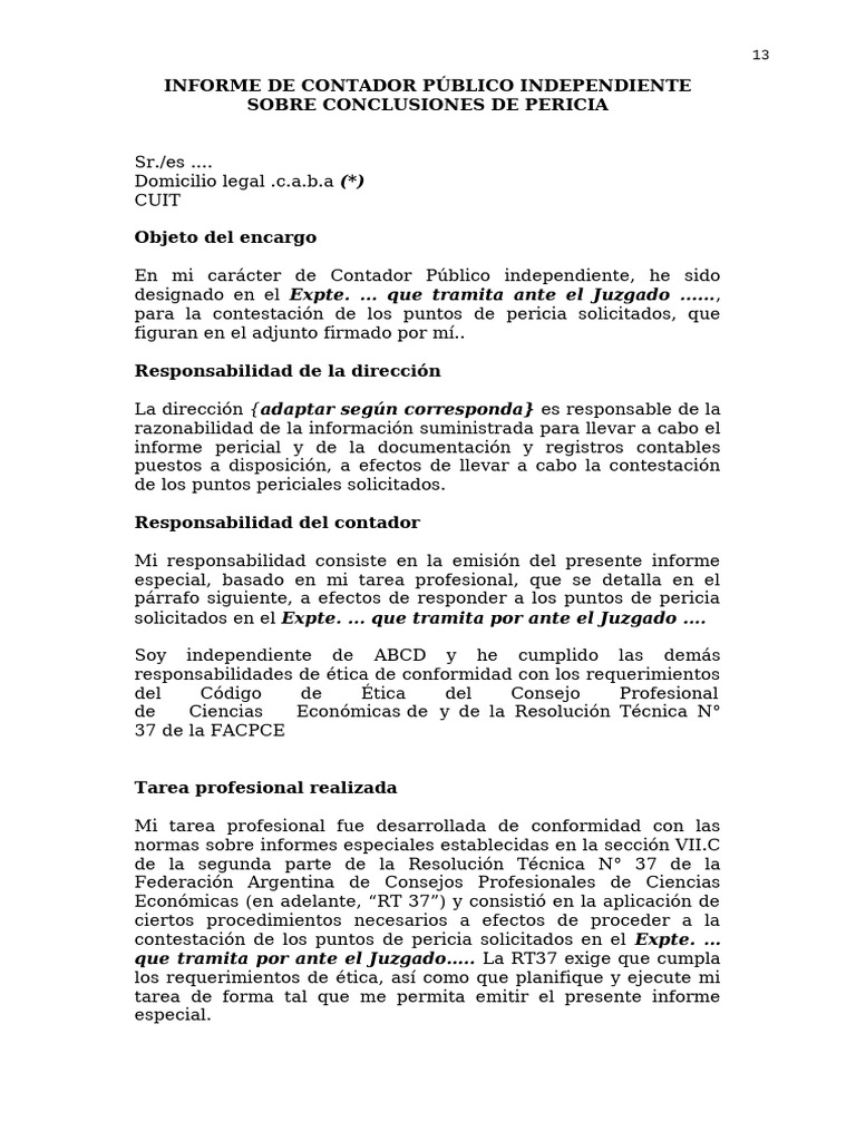 Informe Pericial Contable Independiente | PDF | Contabilidad | Contador