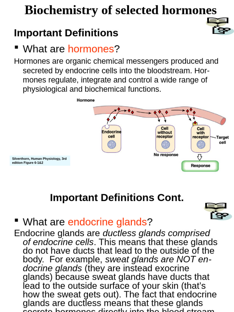 Adrenal Cortex Hormones | PDF | Adrenal Gland | Endocrine System